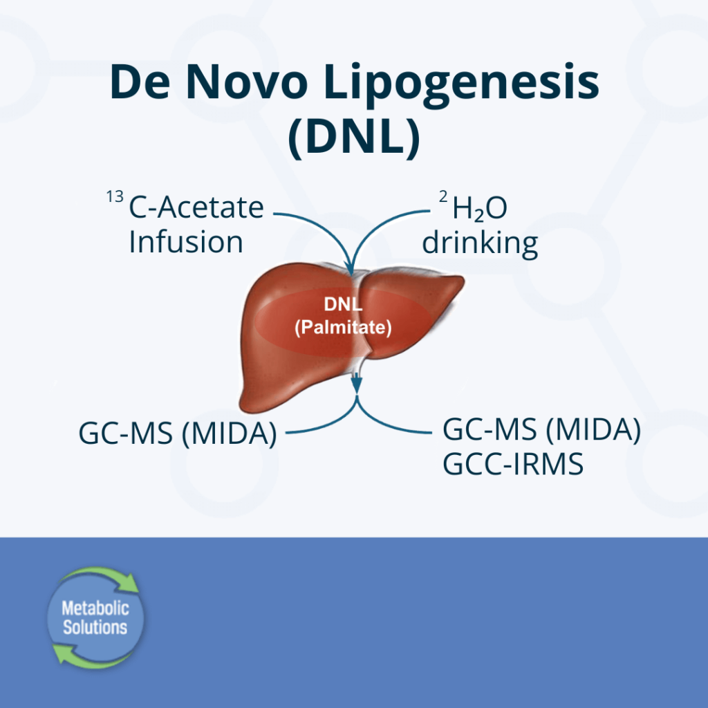 Support Your Preclinical and Clinical Studies with De Novo Lipogenesis ...